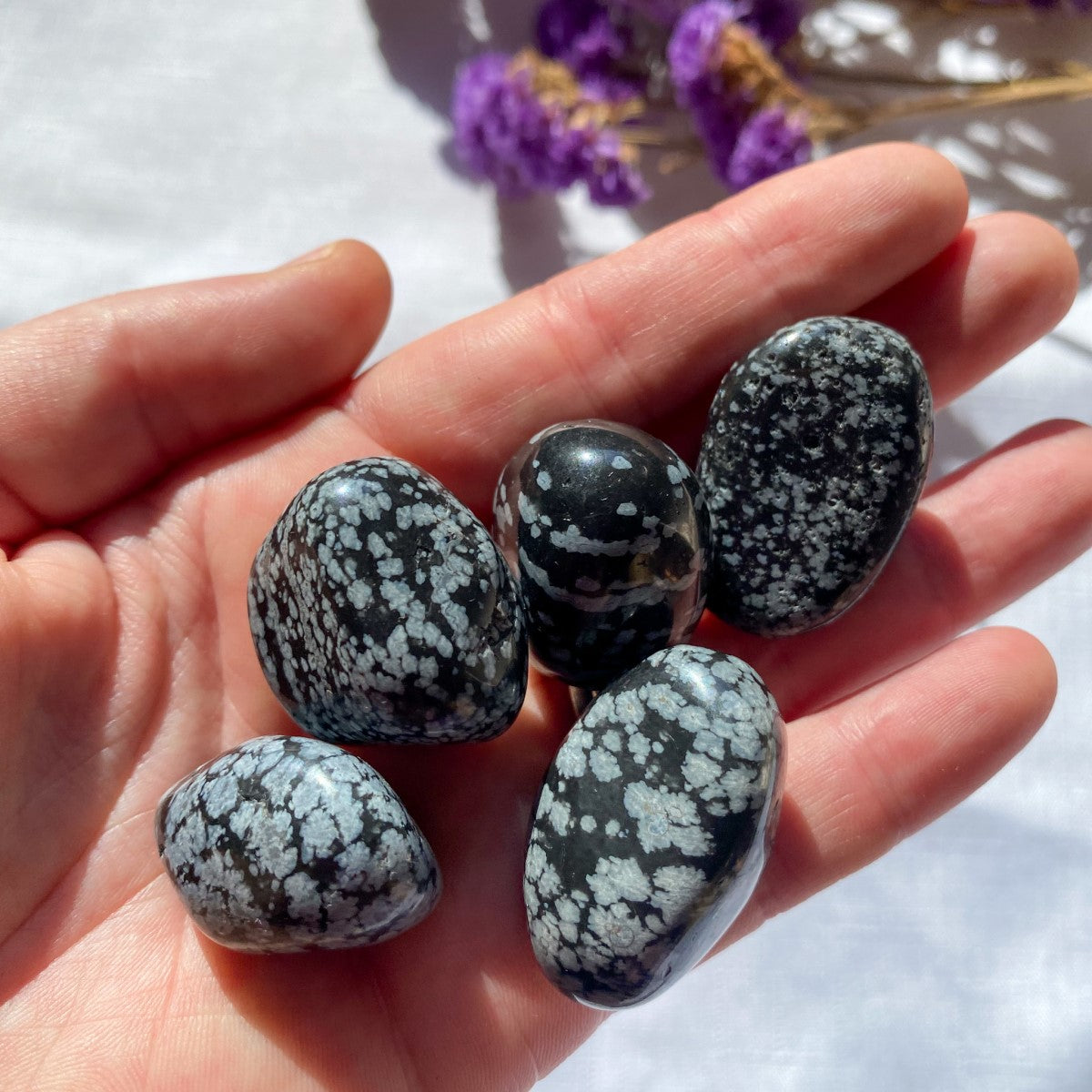 Snowflake Obsidian Tumbled Stone – TheSanctuaryBNE